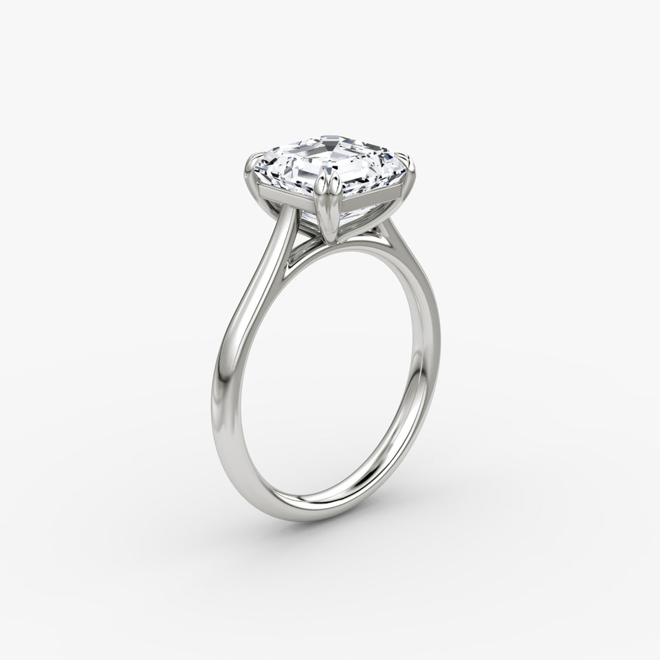 AUDREY - ASSCHER – Steph Mazuera